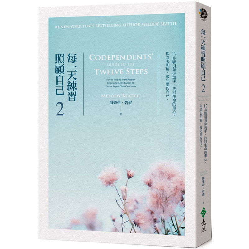 现货台版 每一天练习照顾自己2 12步骤你放手找回生命的重心与过去和解做完整的自己 远流 梅乐蒂碧缇 自我改变心理励志书籍