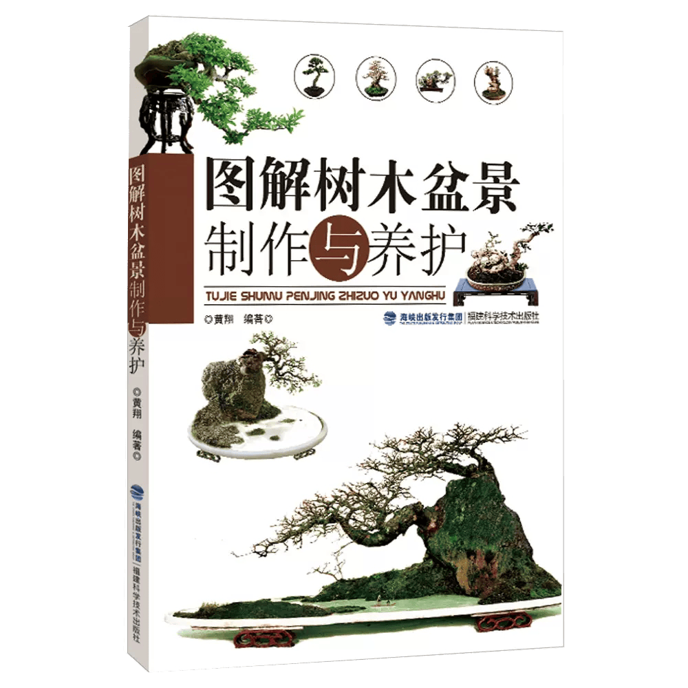 【京联】图解树木盆景制作与养护盆景书籍养花图书大全树木盆景造型设计书栽培技术入门教程中小型花卉盆景制作书籍