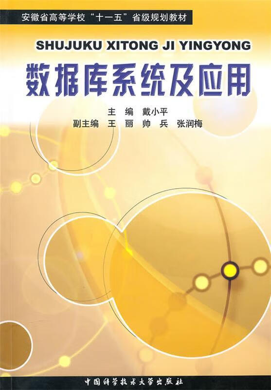 数据库系统及应用