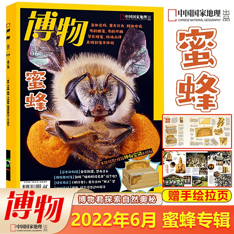 博物杂志2023年8月 高大的树 2022年 2019年 2021年（下单选择期数）青少年自然人文百科期刊科普书 博物君式科普杂志 中国国家地理杂志出品 2022年6月第6期 蜜蜂