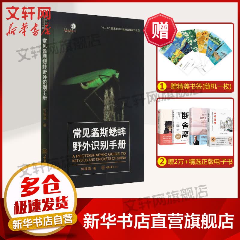 常见螽斯蟋蟀野外识别手册 图书