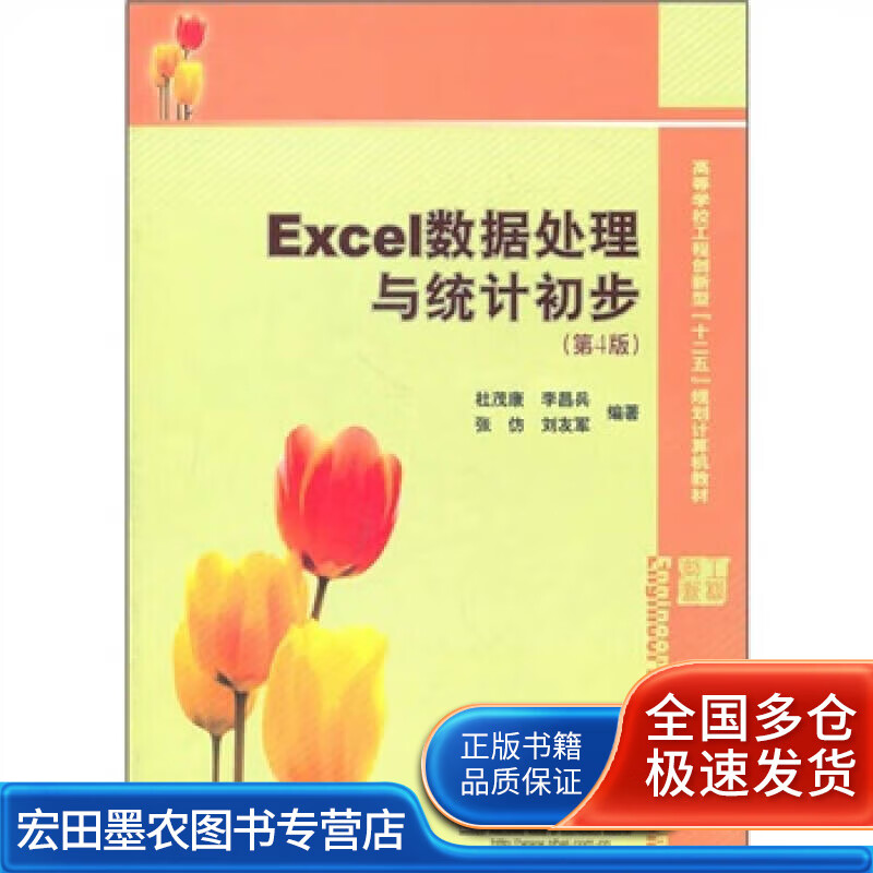 Excel数据处理与统计初步（第4版）【好书】