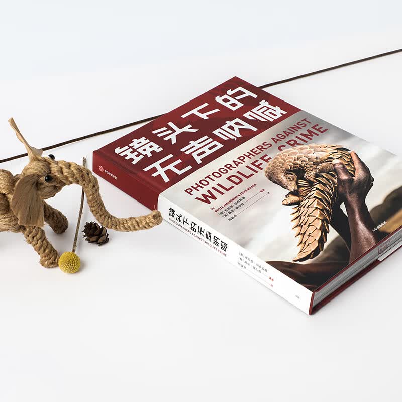 当当镜头下的无声呐喊