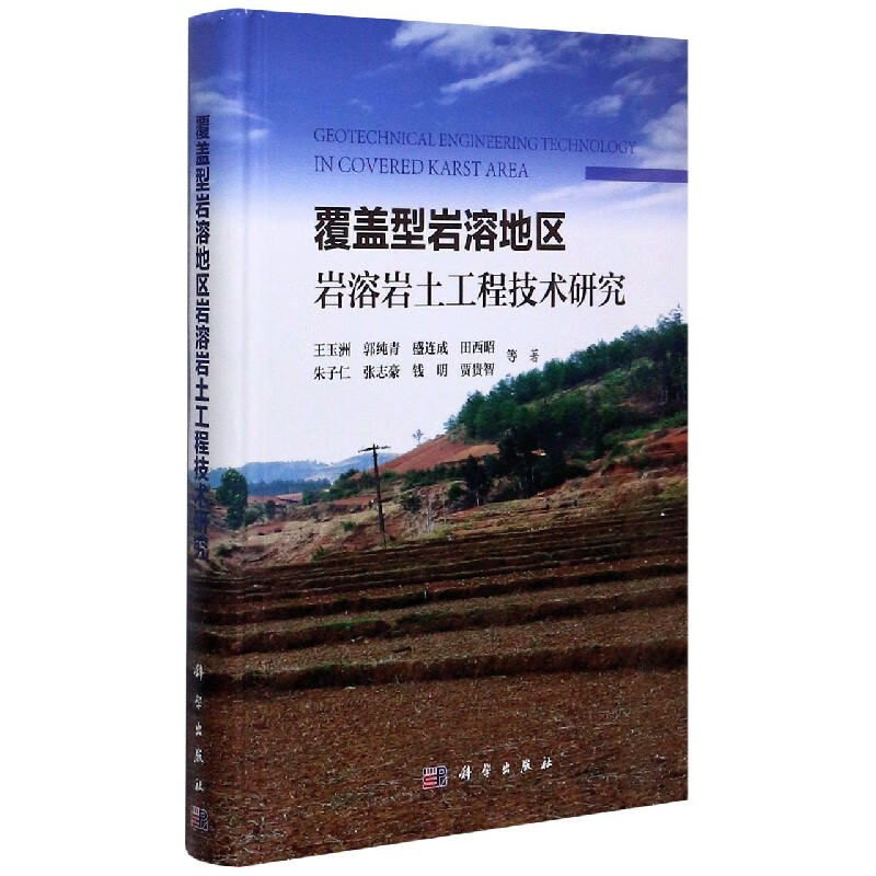 覆盖型岩溶地区岩溶岩土工程技术研究(精)