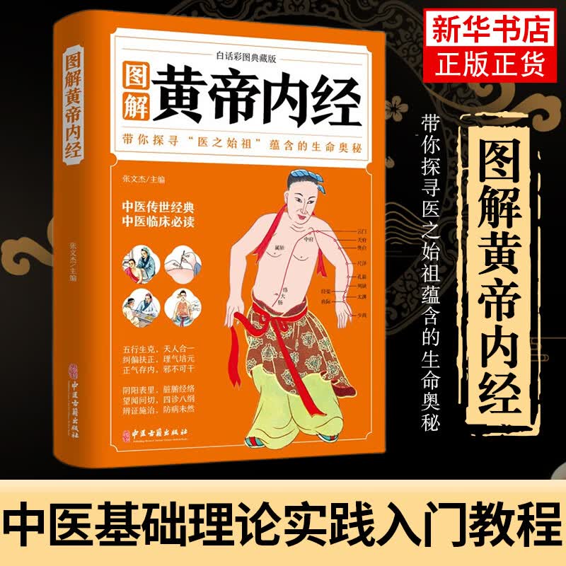 图解黄帝内经（白话彩图典藏版）黄皇帝内经白话文彩图版中医基础理论本草纲目皇帝内经中医养生书籍大全