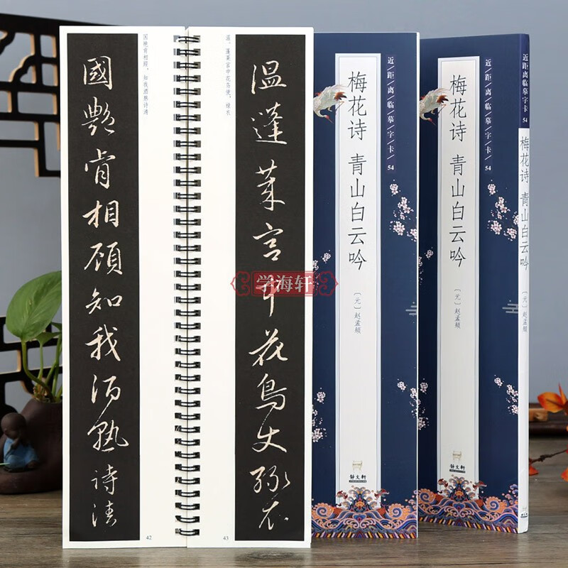 学海轩 赵孟頫梅花诗青山白云吟原碑原帖近距离临摹字卡行书毛笔字帖书法临摹简体旁注活页字卡练字帖静文轩