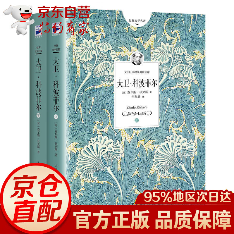 大卫科波菲尔浙大翻译家宋兆霖全译本，狄更斯传奇自传性小说小书虫读经典区域