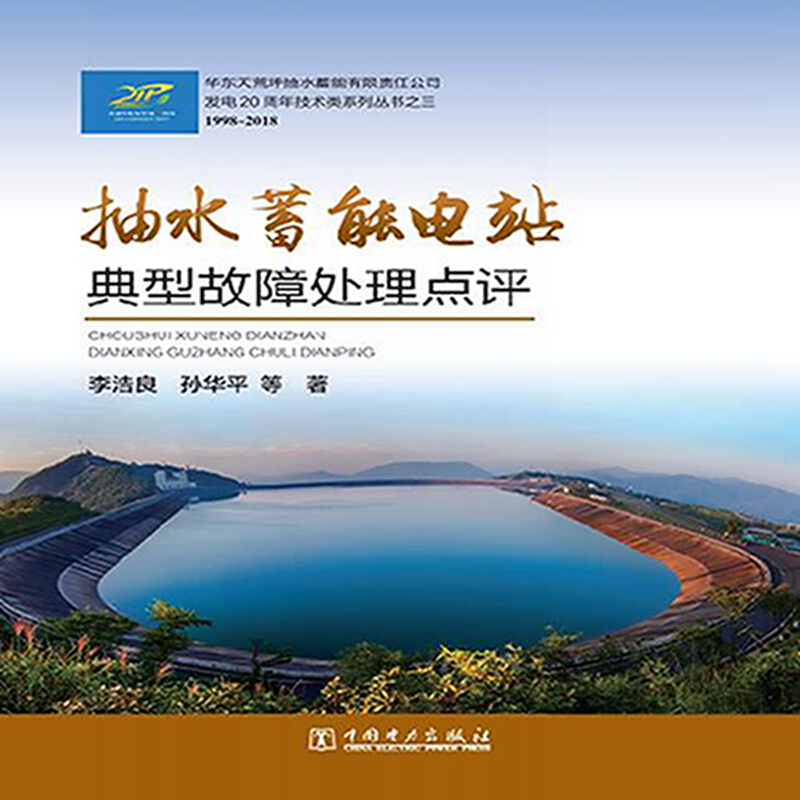 抽水蓄能电站典型故障处理点评