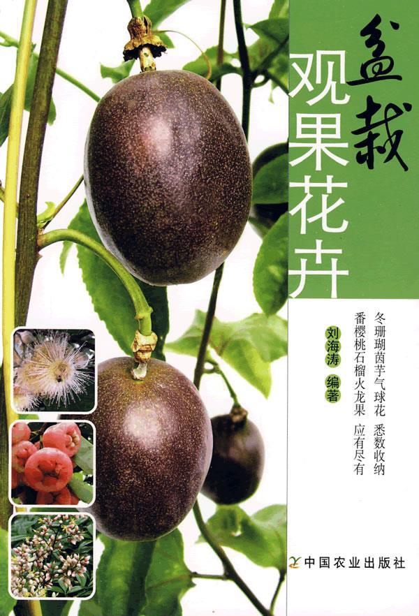 盆栽观果花卉 刘海涛【书】