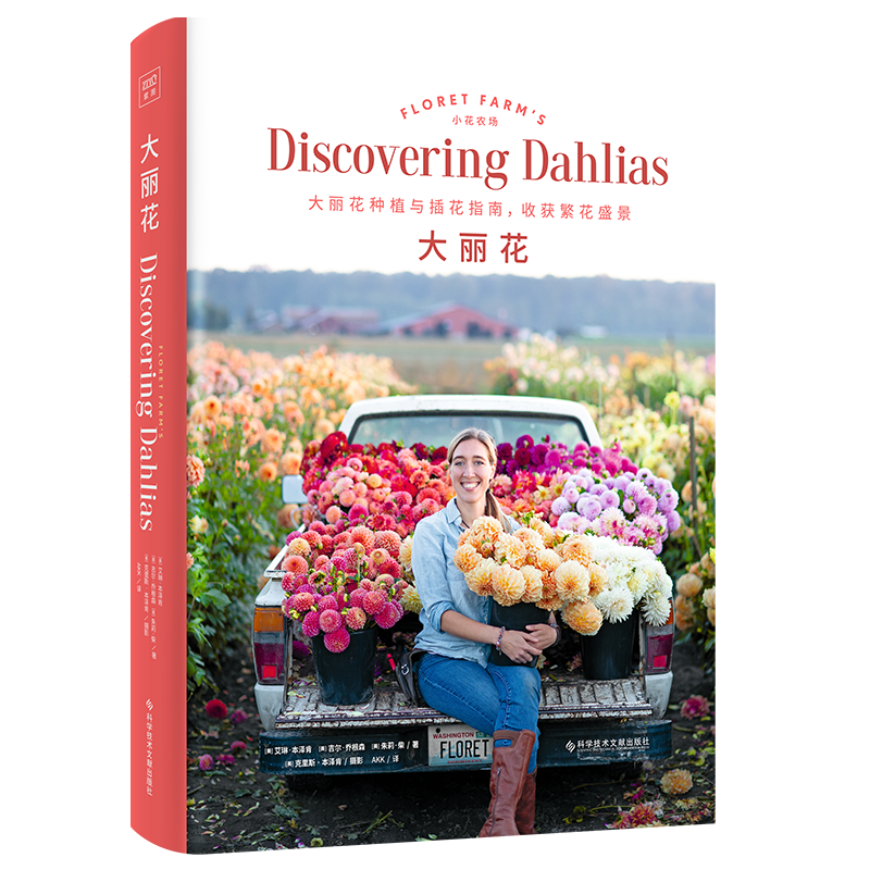 大丽花