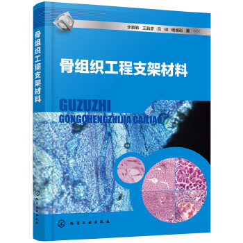 骨组织工程支架材料 李慕勤,王晶彦,吕迎,杨涵崧 著