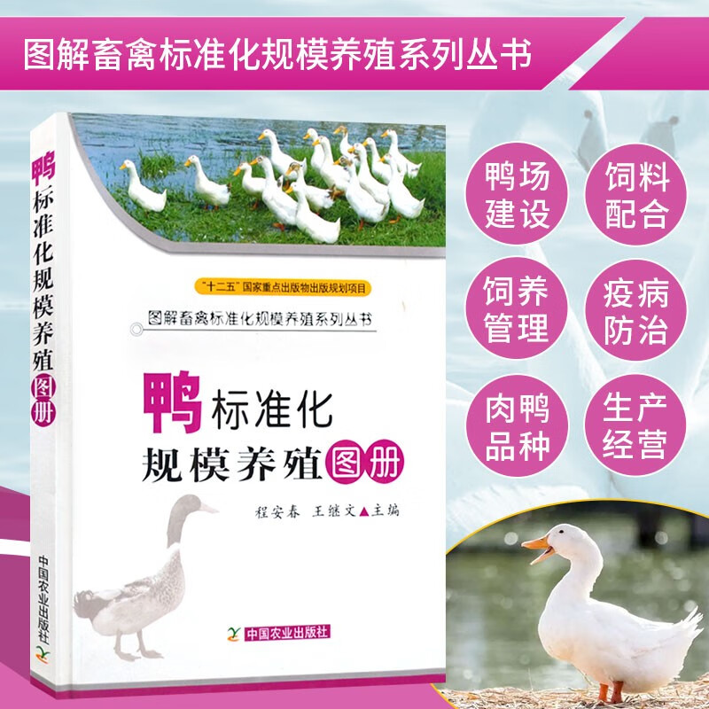 鸭标准化规模养殖图册 图解畜禽标准化规模养殖系列丛书 肉芽高效养殖疾病防治指导书 科学养鸭技术书籍 鸭病诊断用药指南饲料配制选种选育 鸭病管理养鸭书 中国农业出版社