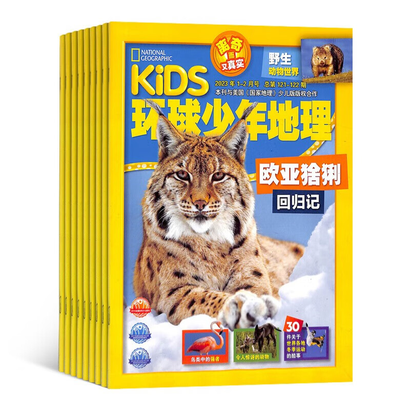 【 1-7/8月现货先发】【送帆布笔袋1个】KiDS环球少年地理杂志订阅 2023年1月-12月 1年共12期 【1/2月 7/8月为合刊】杂志铺 6-12岁儿童科普百科期刊