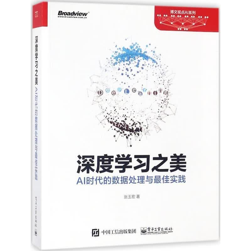 深度学习之美:AI时代的数据处理与佳实践 张玉宏【书】