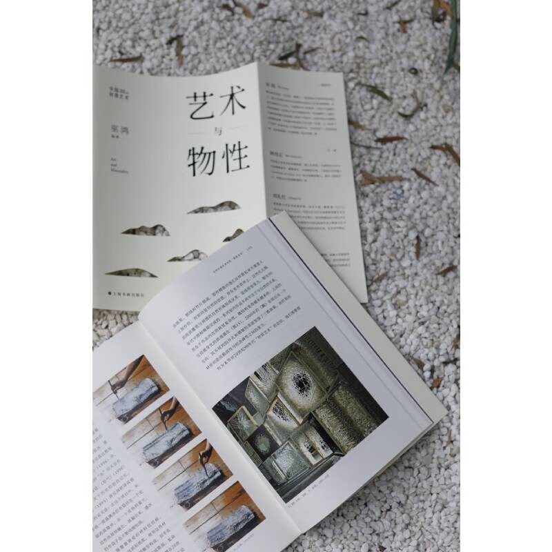 艺术与物性 巫鸿 著 艺术