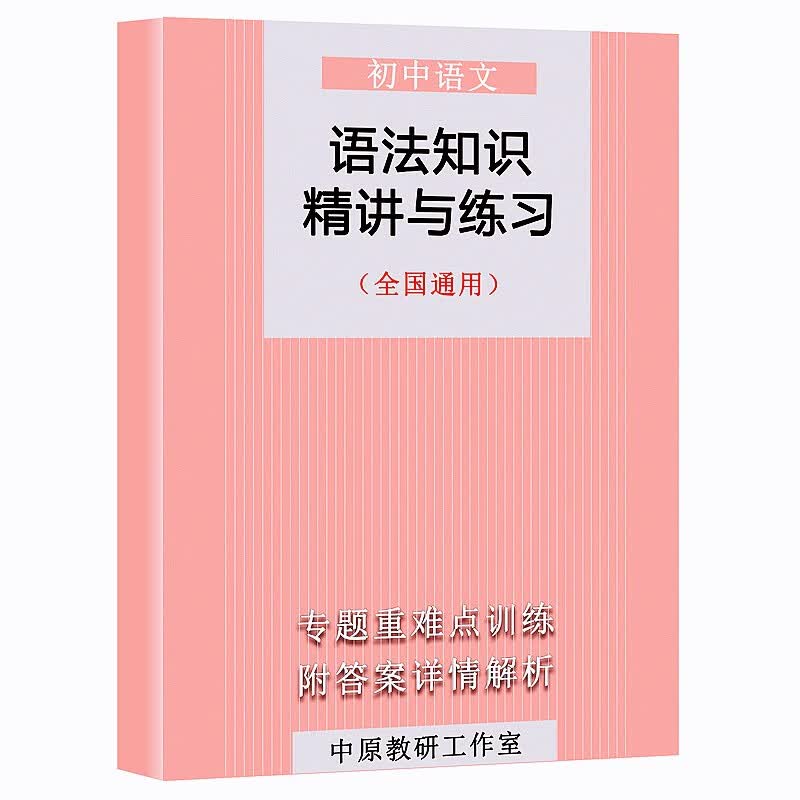初中考语文语法知识点精讲与练习专题复习准确讲解通俗易懂提分
