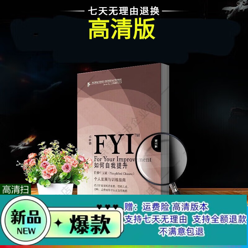 定制款 FYI For Your Improvement如何自我提升 简体中文 第五版