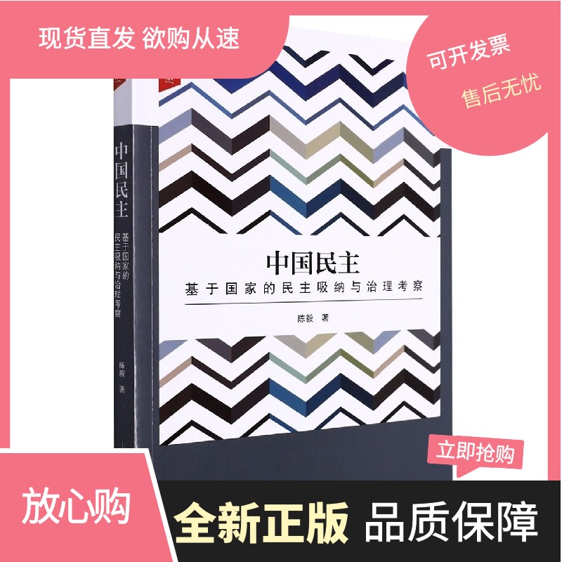 中国民主：基于国家的民主吸纳与治理考察