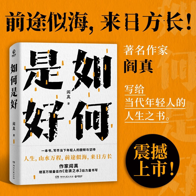 【现货包邮】如何是好 阎真 书写当代年轻人的人生之书 困顿与坚持前途似海来日方长 当代小说 博集天卷包邮
