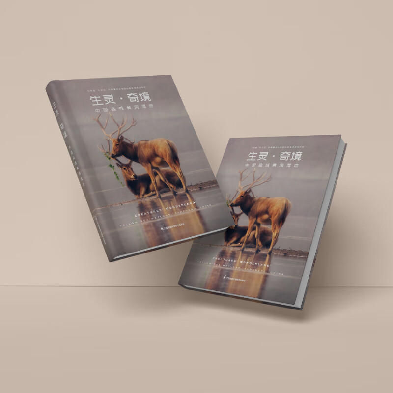 生灵·奇境——中国盐城黄海湿地 走进湿地秘境感受大美中国我国块滨海湿地类世界自然遗产的全方位展示