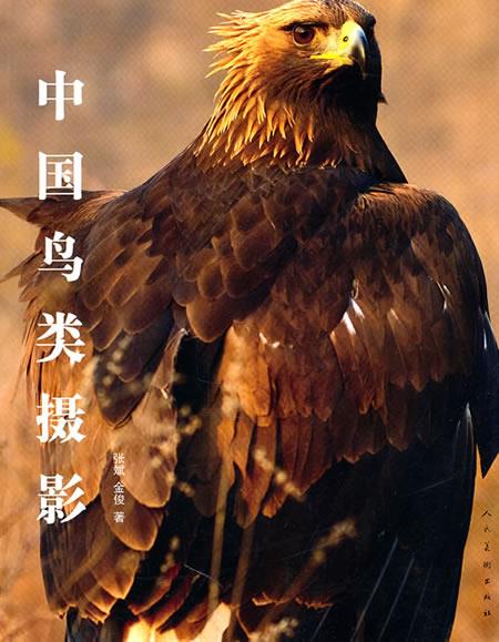 中国鸟类摄影 张斌,金俊