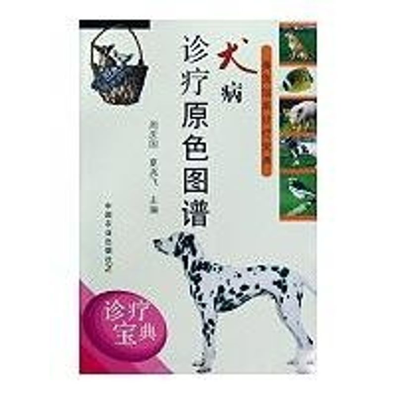 犬病诊疗原色图谱/兽医临床诊疗宝典