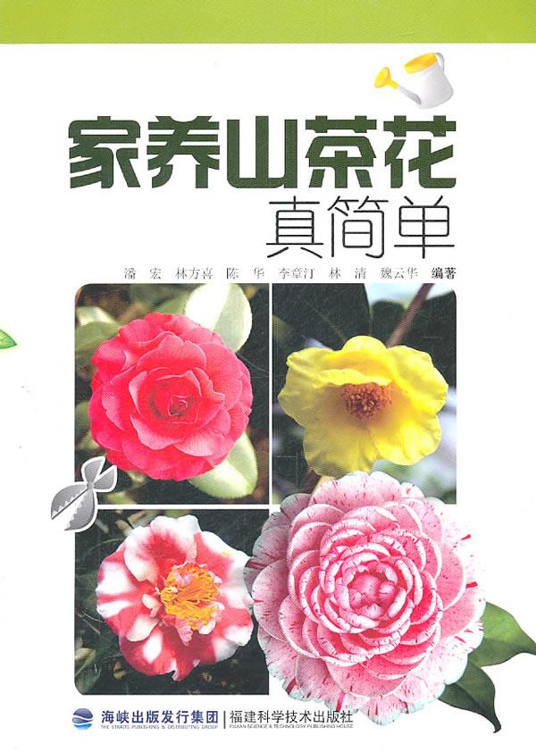 家养山茶花真简单