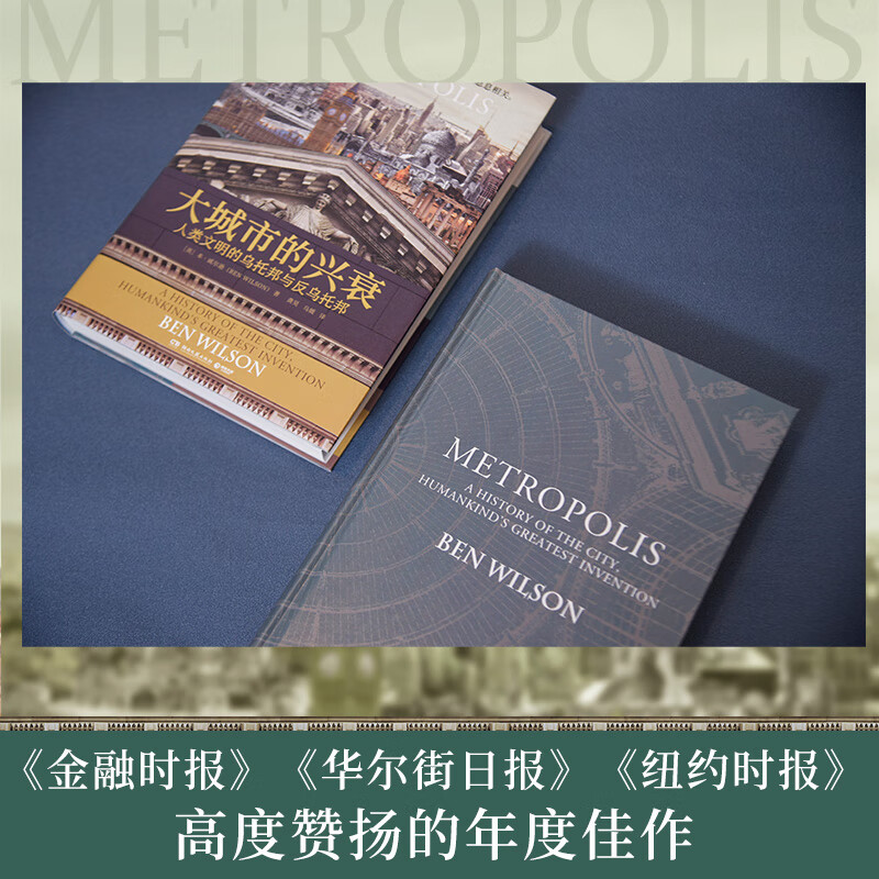 大城市的兴衰 人类文明的乌托邦与反乌托邦 图书