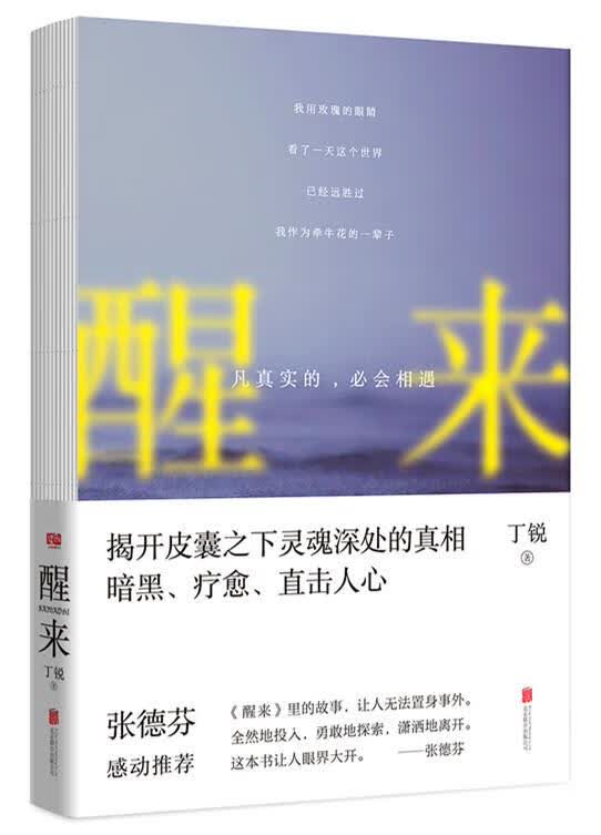 醒来:凡真实的，必会相遇 丁锐