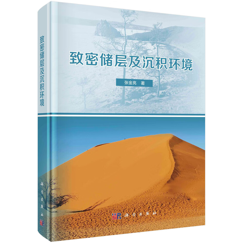致密储层及沉积环境/张金亮