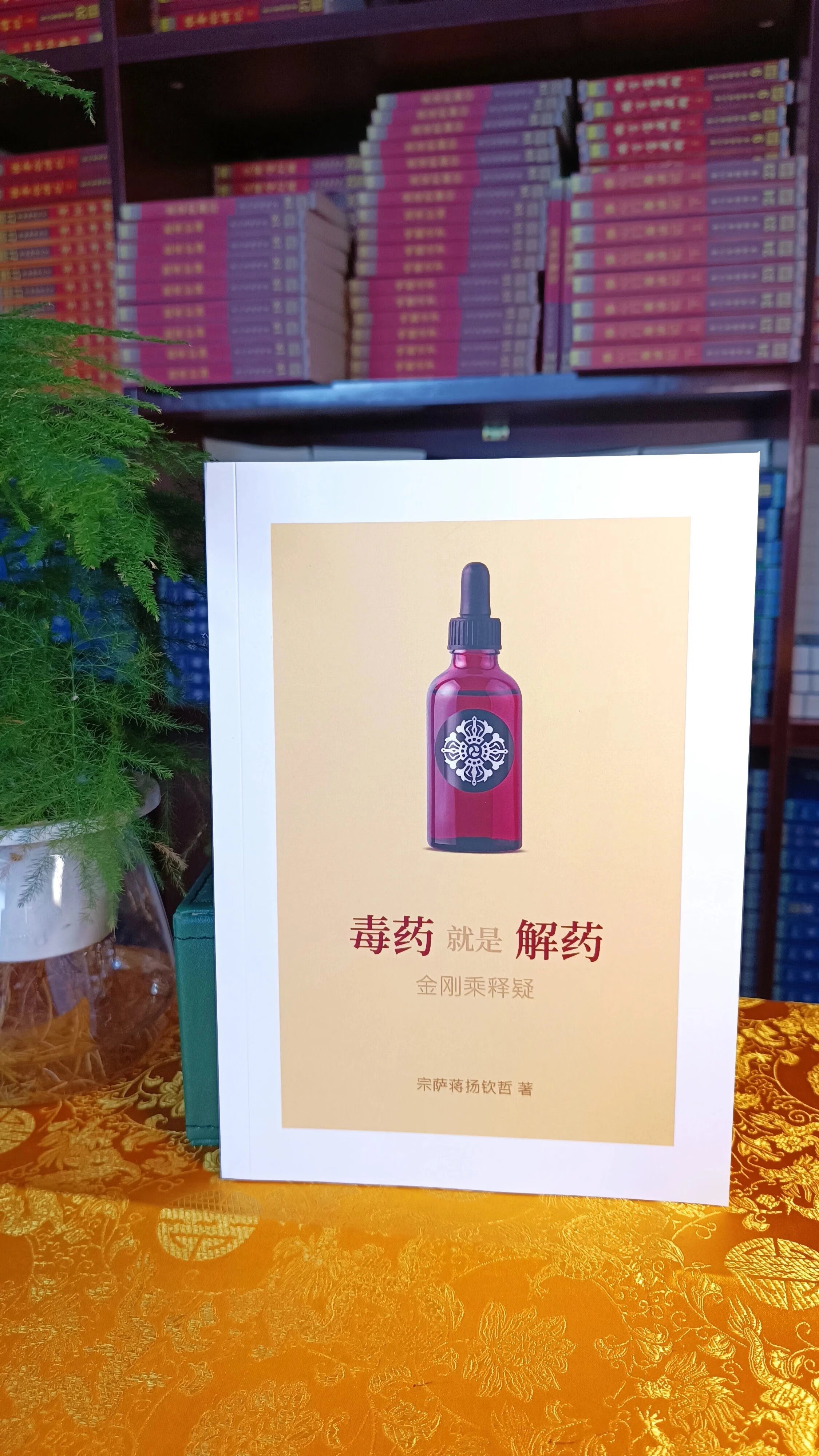 毒药就是解药 宗萨蒋扬钦哲仁波切 首谈金刚乘 稀有题材