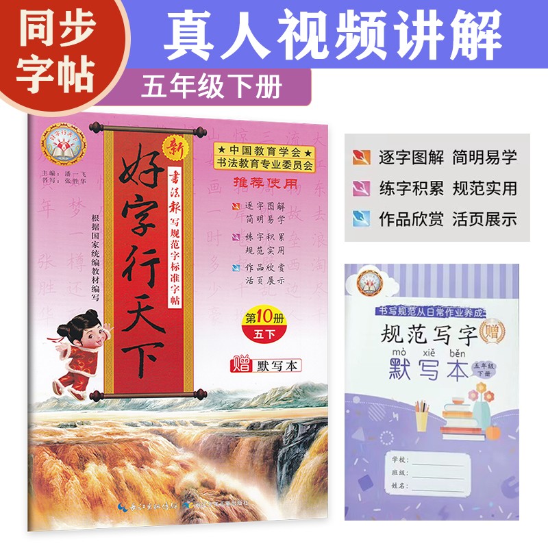 好字行天下五5年级下册人教版语文练字帖小学专用教材同步规范字标准字帖视频讲解硬笔书法生字组词图解描红笔顺详解笔画偏旁结构易错字诗词拓展默写本每日一练随堂练