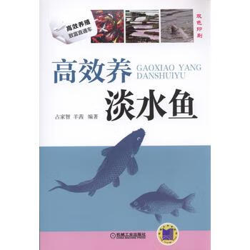 高效养淡水鱼 9787111512851 占家智,羊茜著 机械工业出版社