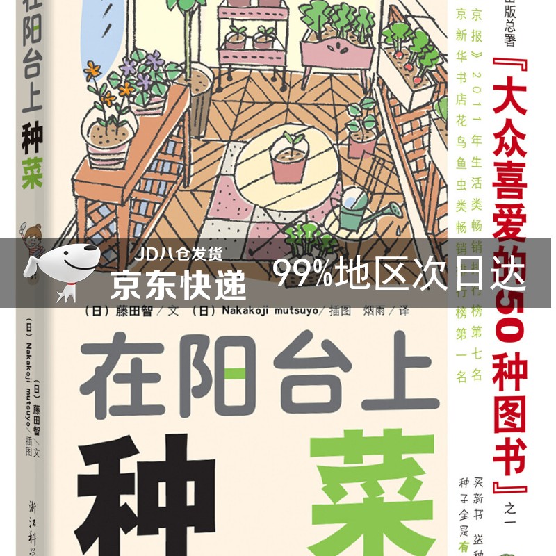 在阳台上种菜