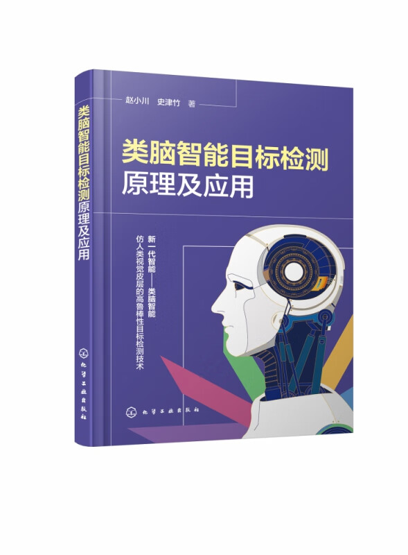 类脑智能目标检测原理及应用