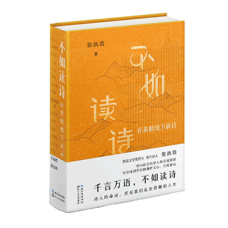 不如读诗（鲁迅文学奖得主张执浩古典诗歌随笔集）