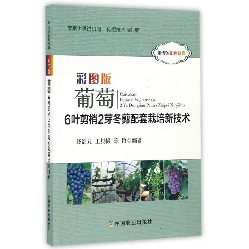 彩图版葡萄6叶剪梢2芽冬剪配套栽培新技术