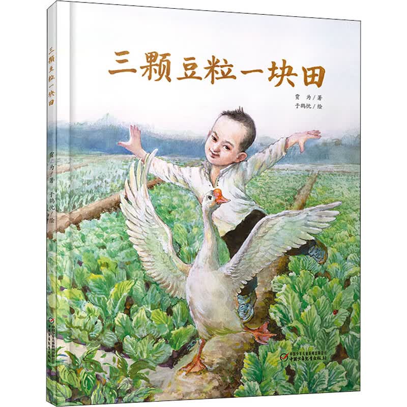 三颗豆粒一块田