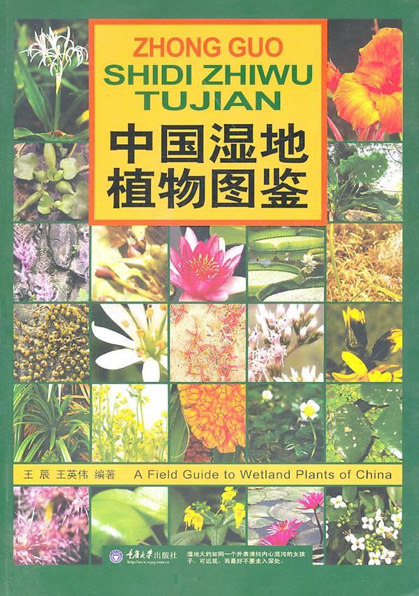 中国湿地植物图鉴 王辰,王英编著【书】