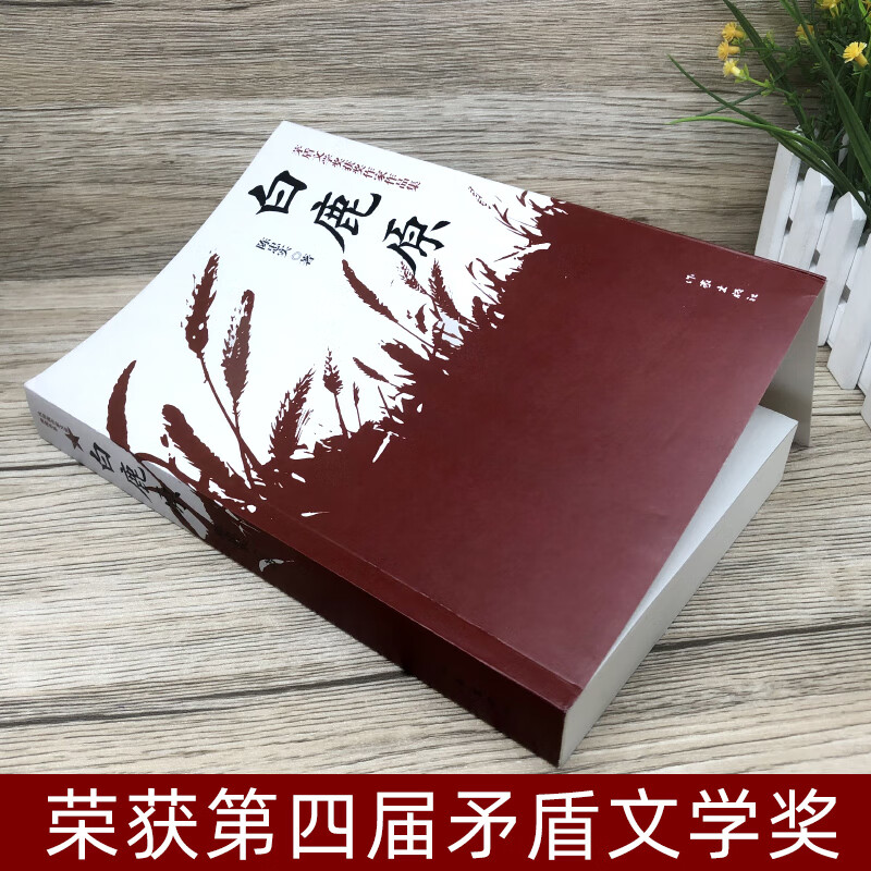 白鹿原无删减完整版陈忠实著原本原著未删减版1993版一版一印茅盾文学奖无删节版1993年电视剧经典文