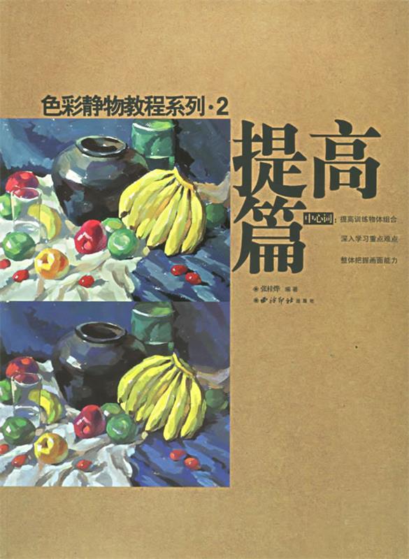 提高篇 张桂烨 著