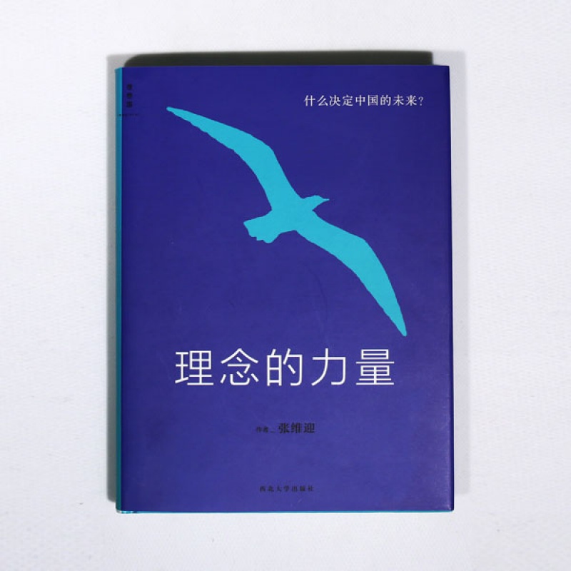 理念的力量:什么决定中国的未来 张维迎 理解当下中国，把握未来趋势的必读之书 经济 理想国 理想国图书官方旗舰店