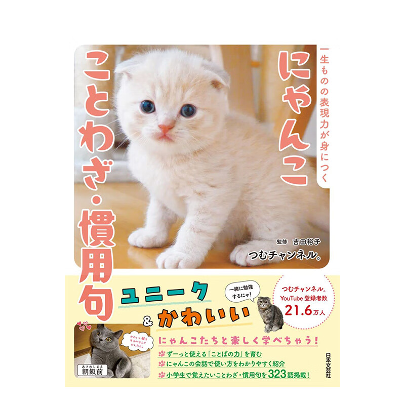 与可爱猫咪一起学习谚语·惯用句 にゃんこ ことわざ·惯用句 进口原版日文语言学习人文社科 善本图书