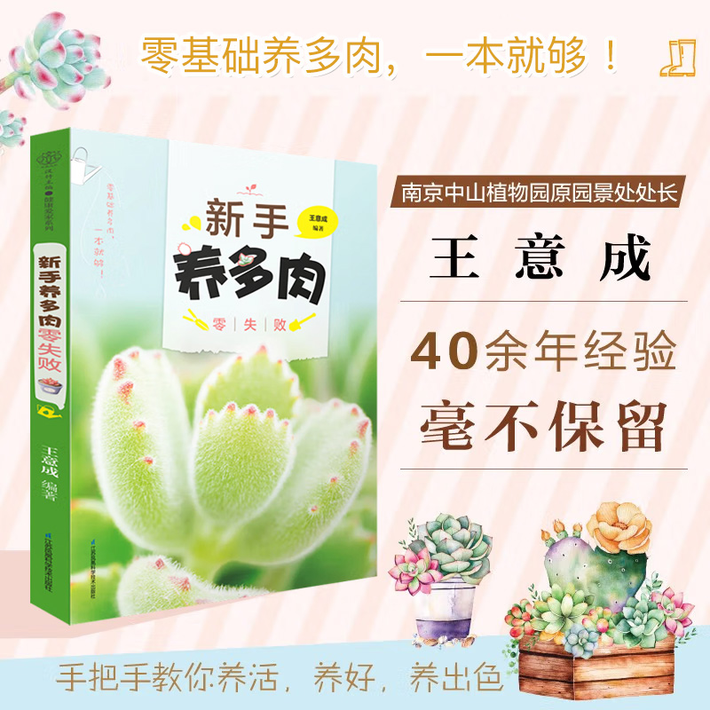 新手养多肉零失败 花卉科普作家王意成 花园花艺盆栽养殖盆景 江苏凤凰科学技术出版社