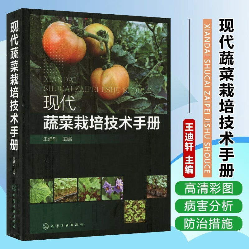 北农阳光书店现代蔬菜栽培技术手册王迪轩农作物栽培书籍水果蔬菜种植技术水果蔬菜加工保鲜教程农作物高效种