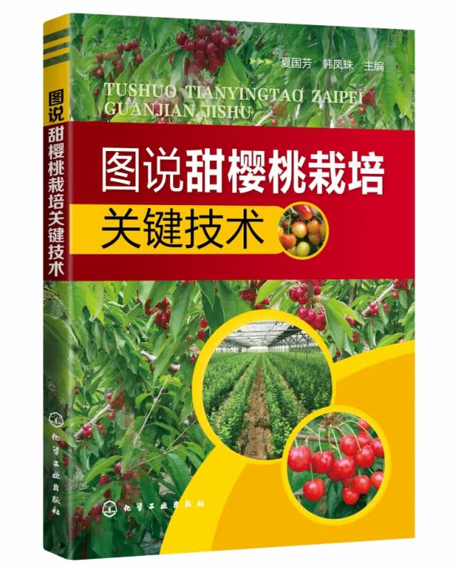 图说甜樱桃栽培关键技术