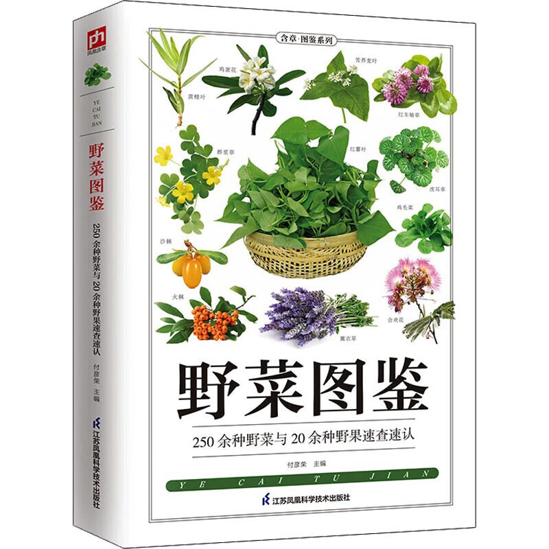 野菜图鉴野外识别速查图鉴 生物科学 生活百科书籍 野生植物花草识别图解书籍