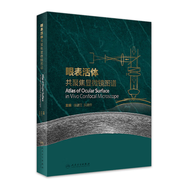 眼表活体共聚焦显微镜图谱
