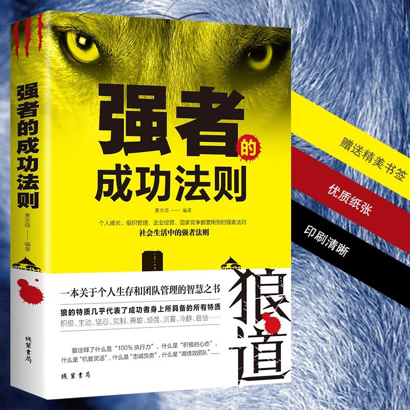 强者的成功法则 你的格局决定你的结局 思路决定出路 自我管理为人处世成功励志人生智慧大格局书籍