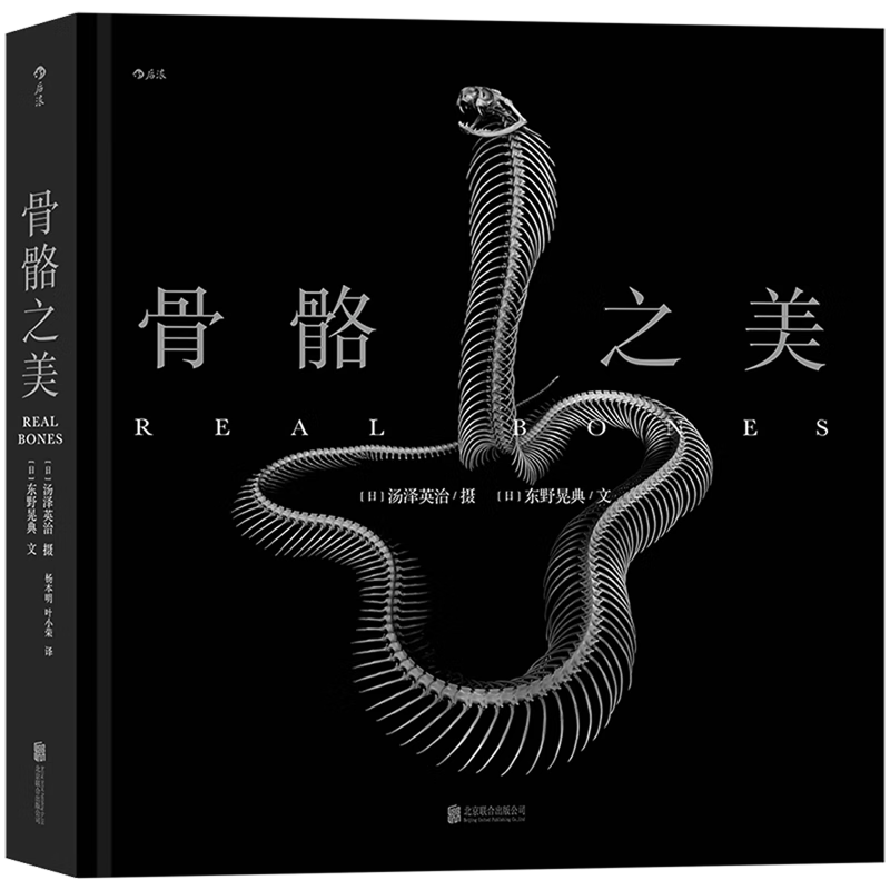 骨骼之美(精)